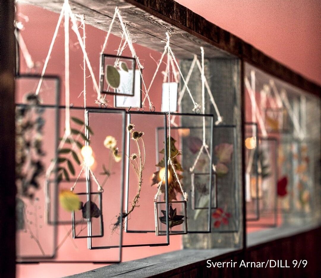 DILL Restaurant (Reykjavík) – All Things Nordic
