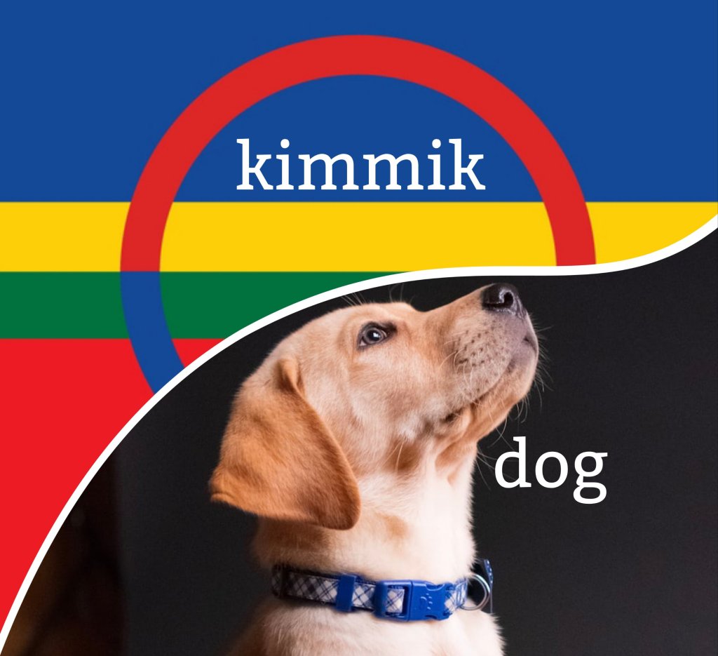 ATN Word of the Day: 'kimmik' (Sámi) - All Things Nordic